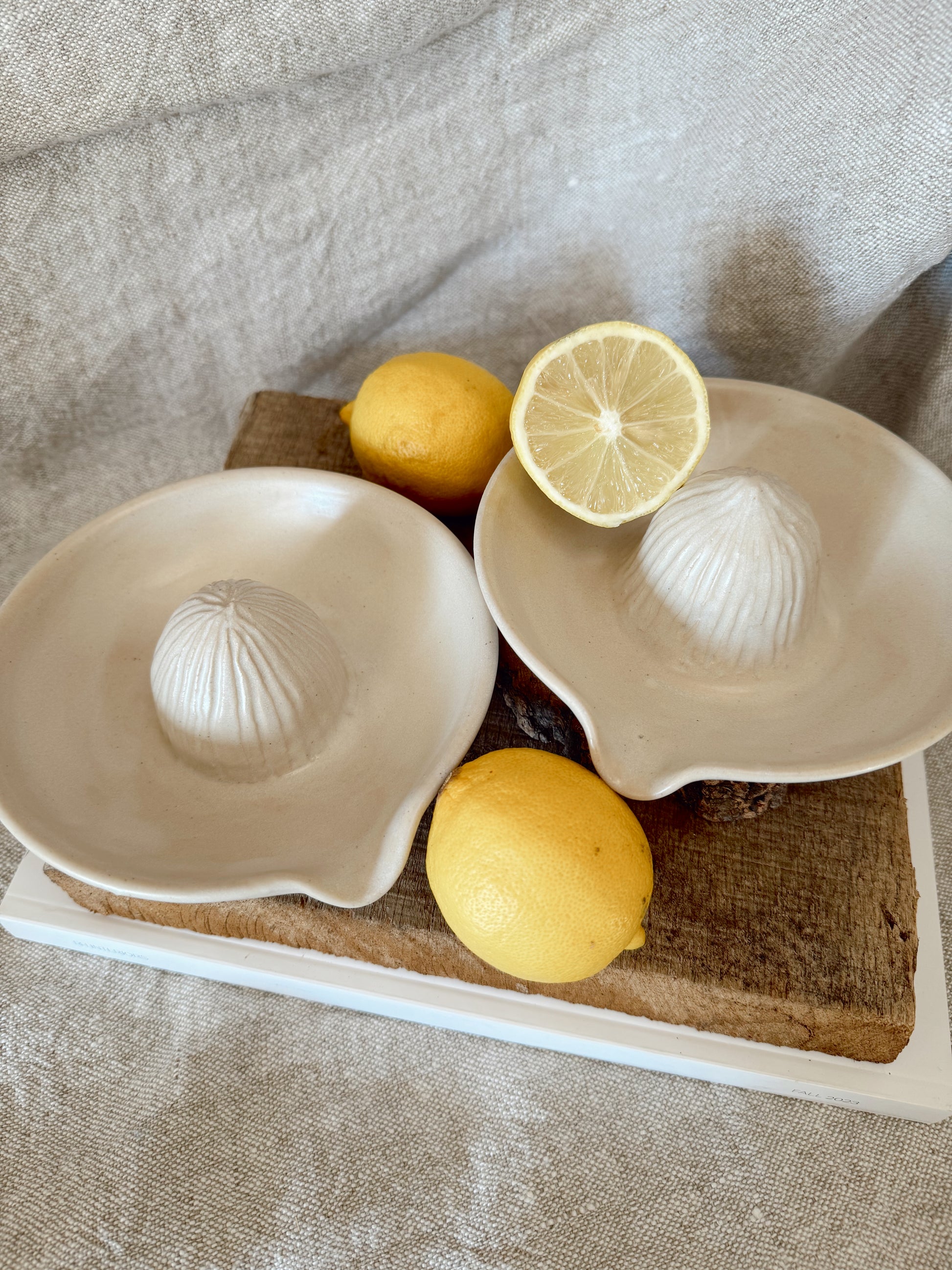 Ceramic Lemon Juicer – Clay & Canvas